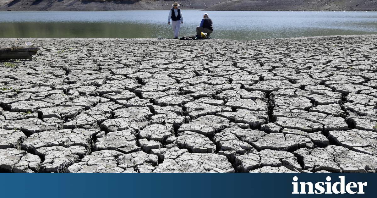 Πώς η κλιματική αλλαγή ευνοεί τις πυρκαγιές – Οι επιπτώσεις για την ...