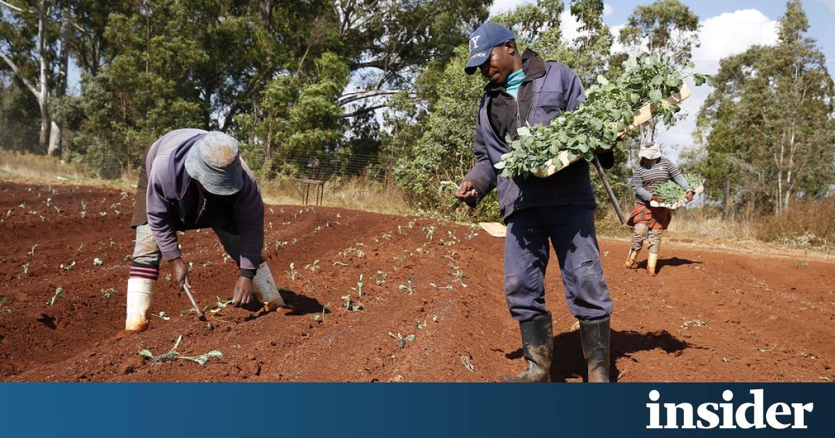 EU Talent Pool: Η πλατφόρμα της Κομισιόν που συνδέει τους εργαζόμενους ...